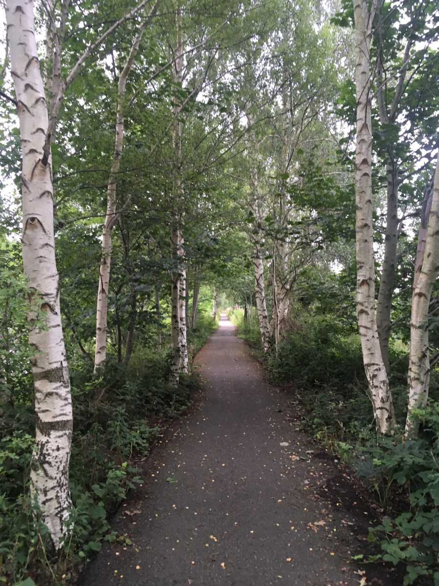 Fit’s Adee – Old Deeside Line